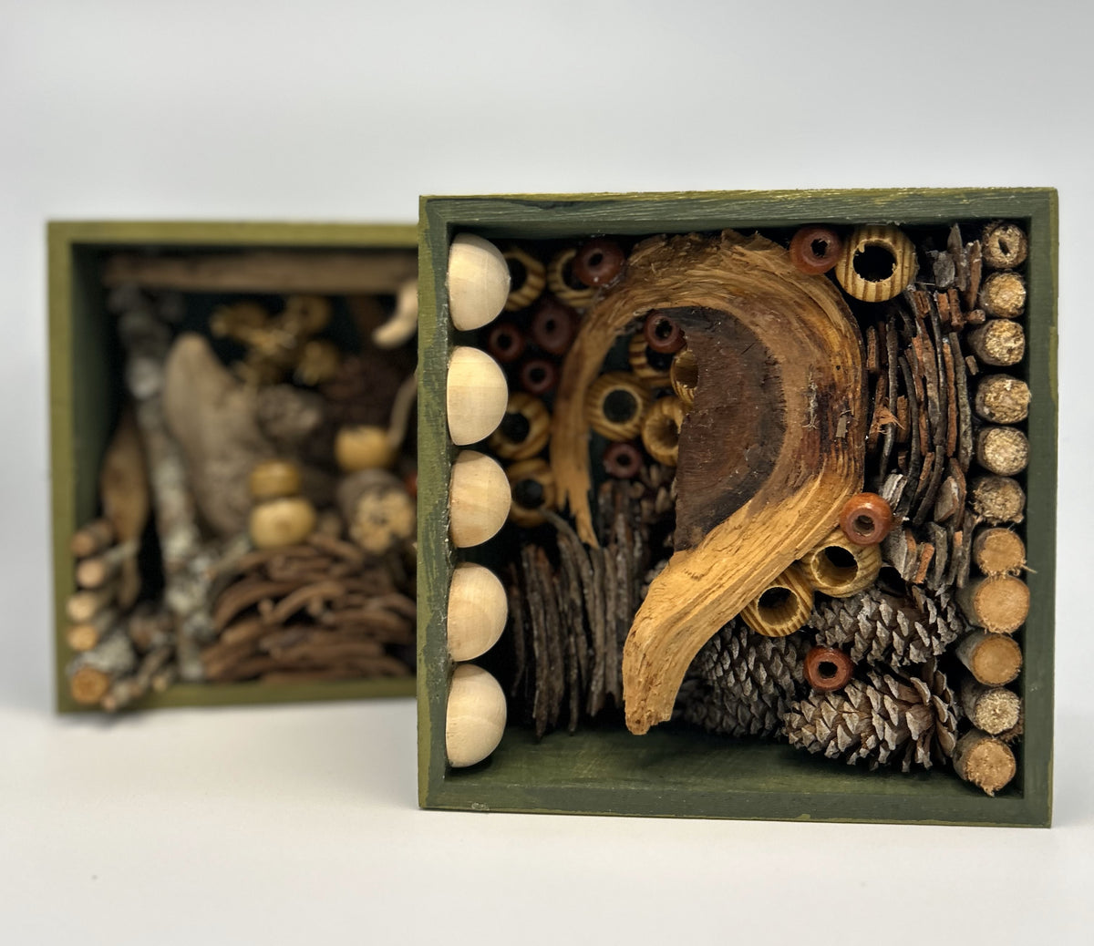 Bug Bungalow – The TCMU Store