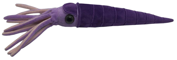 Paleozoic Pals Nautiloid Plush – The TCMU Store